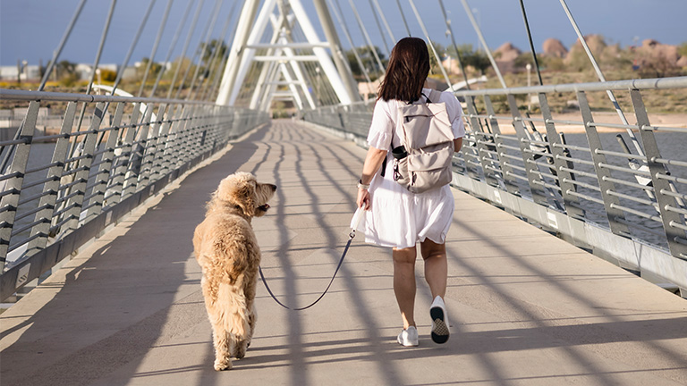 Pet Travel Tips with Zayn the Gentleman - Travel Zone by Best Western